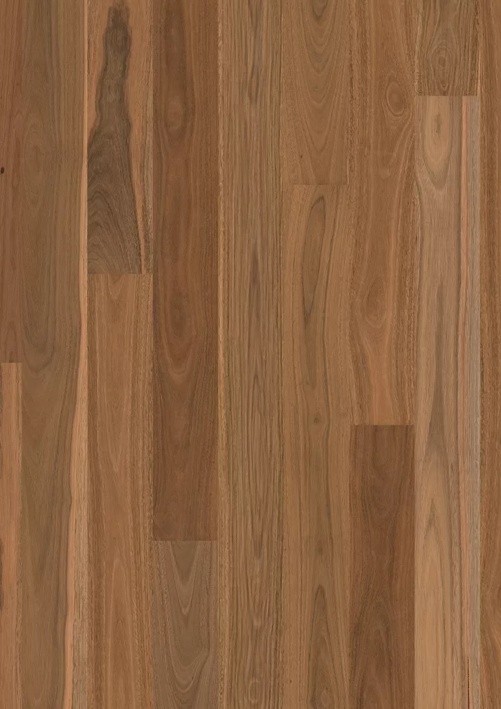 Australian Native Spotted Gum - Queensland Timber Flooring