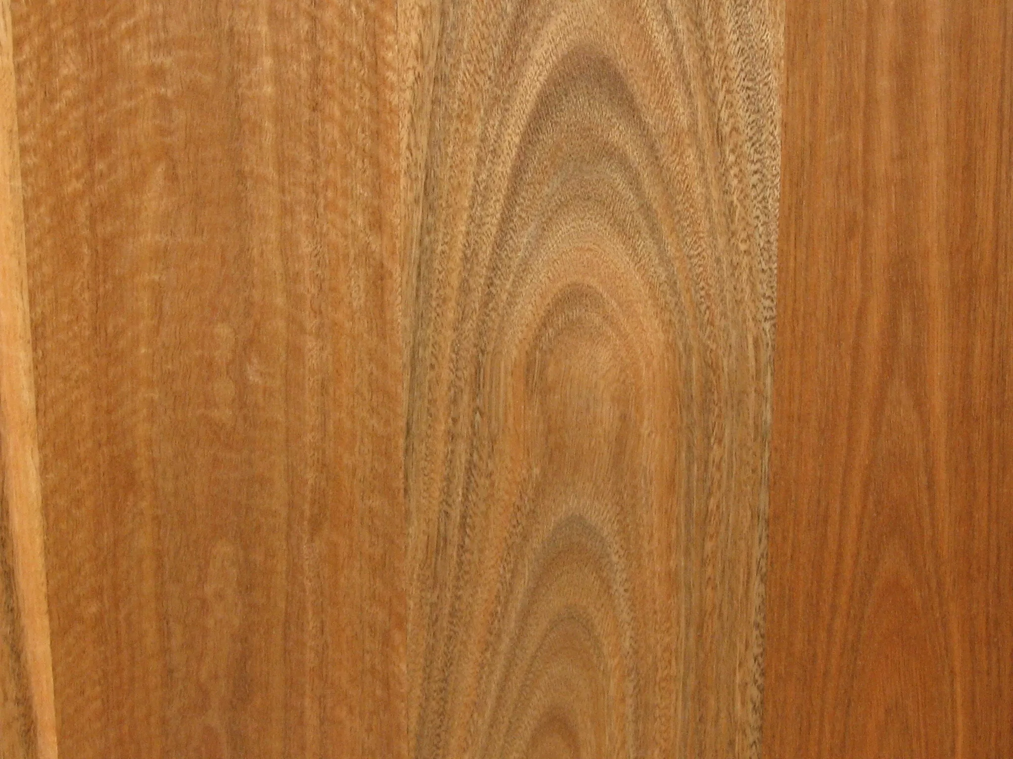 Spotted Gum - Queensland Timber Flooring