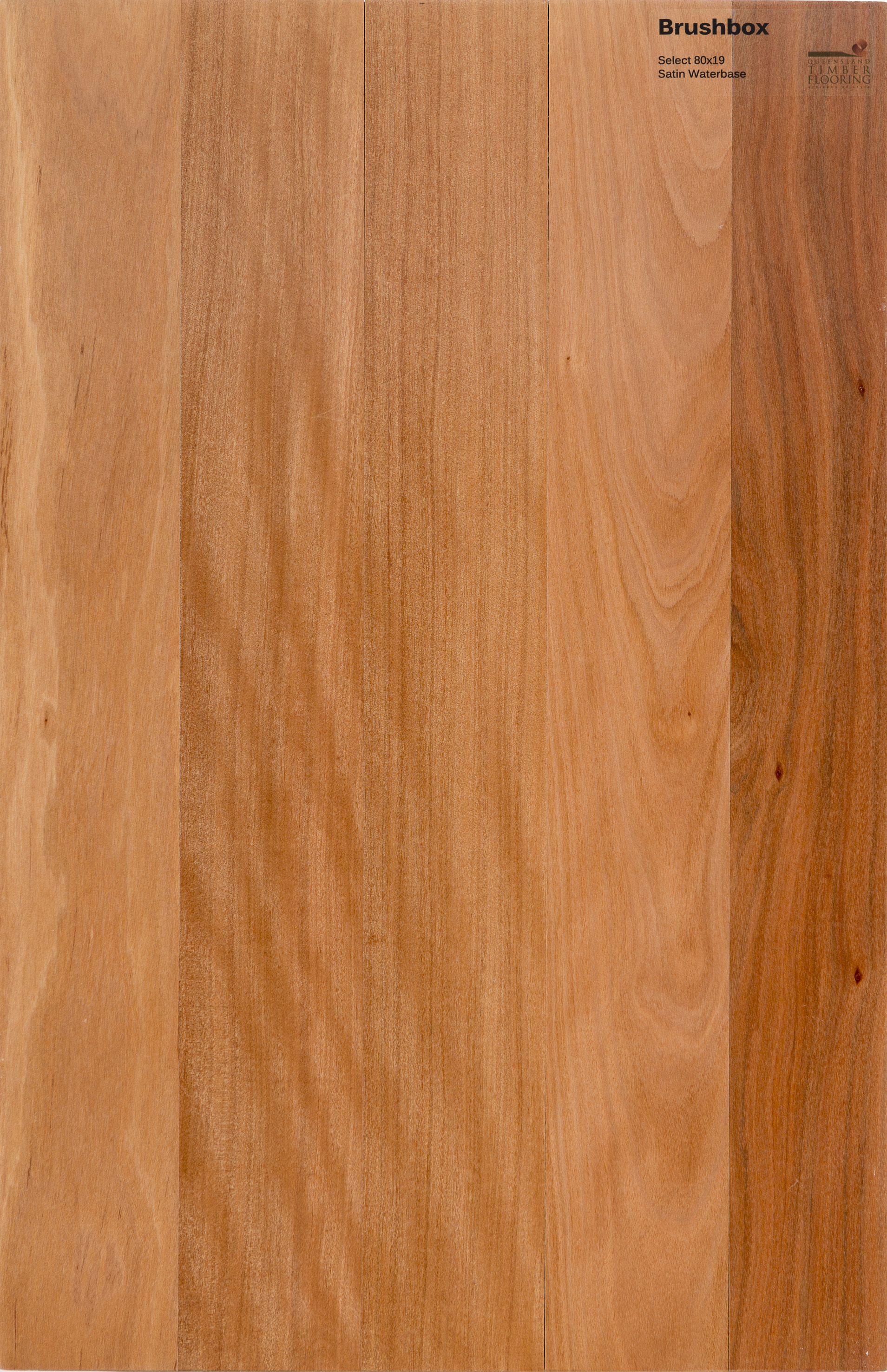 Brush Box | Queensland Timber Flooring
