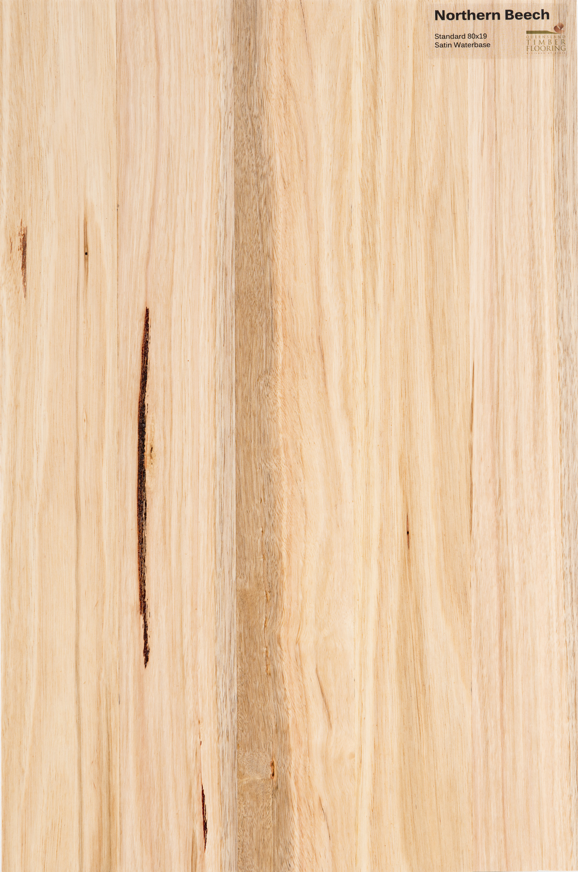 Northern Beech | Queensland Timber Flooring