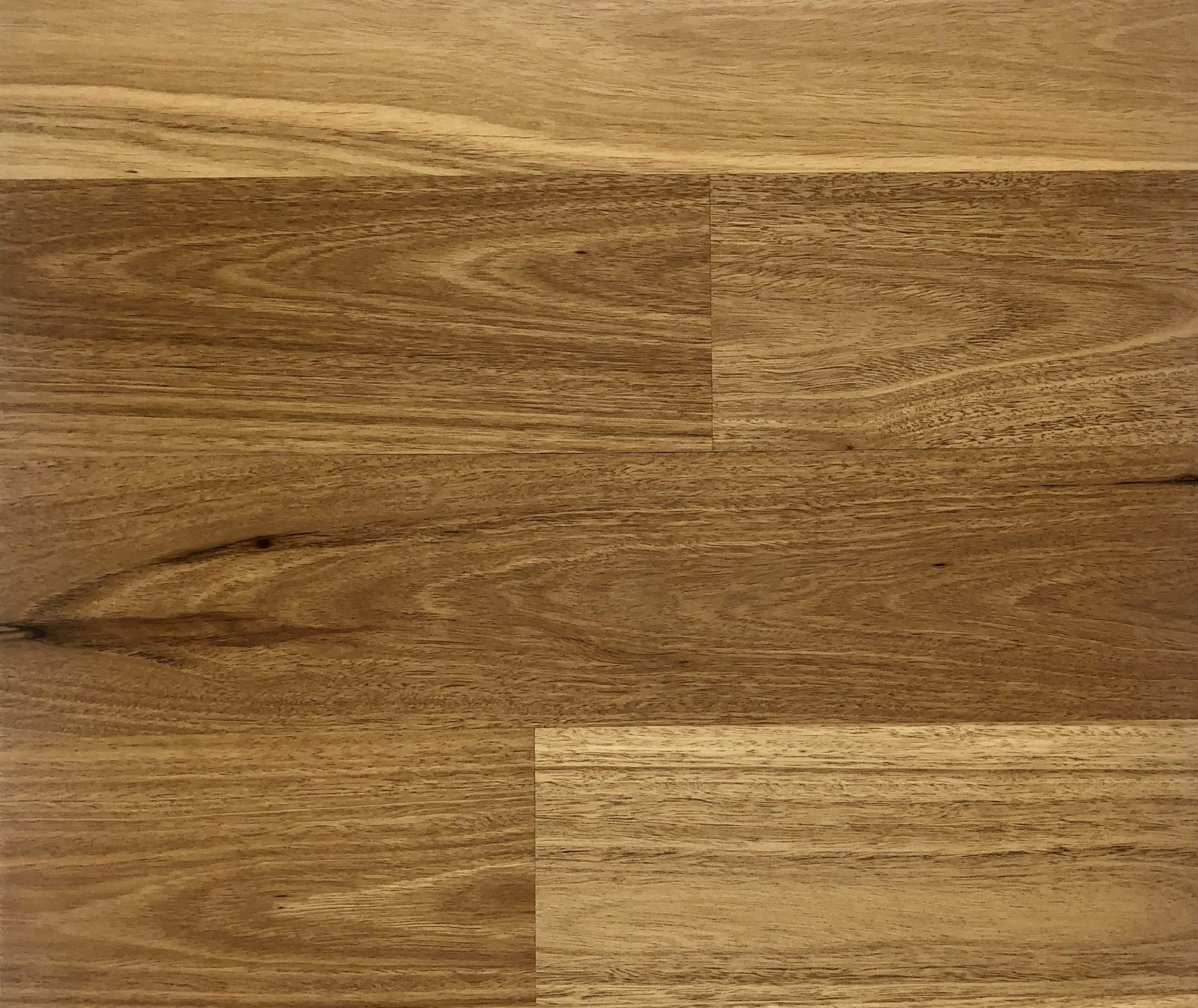 Australian Native Tallowwood | Queensland Timber Flooring